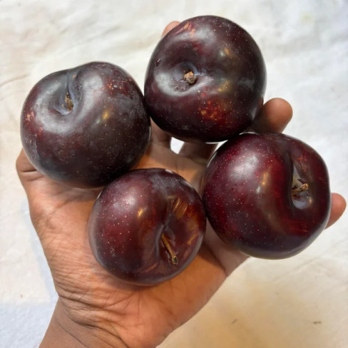 Слива Инжирная диплоидная саженец купить в Украине | Интернет-магазин SADIM